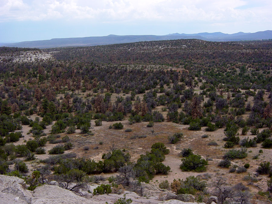 The flat land at the bottom of the canyon was used for farming ...