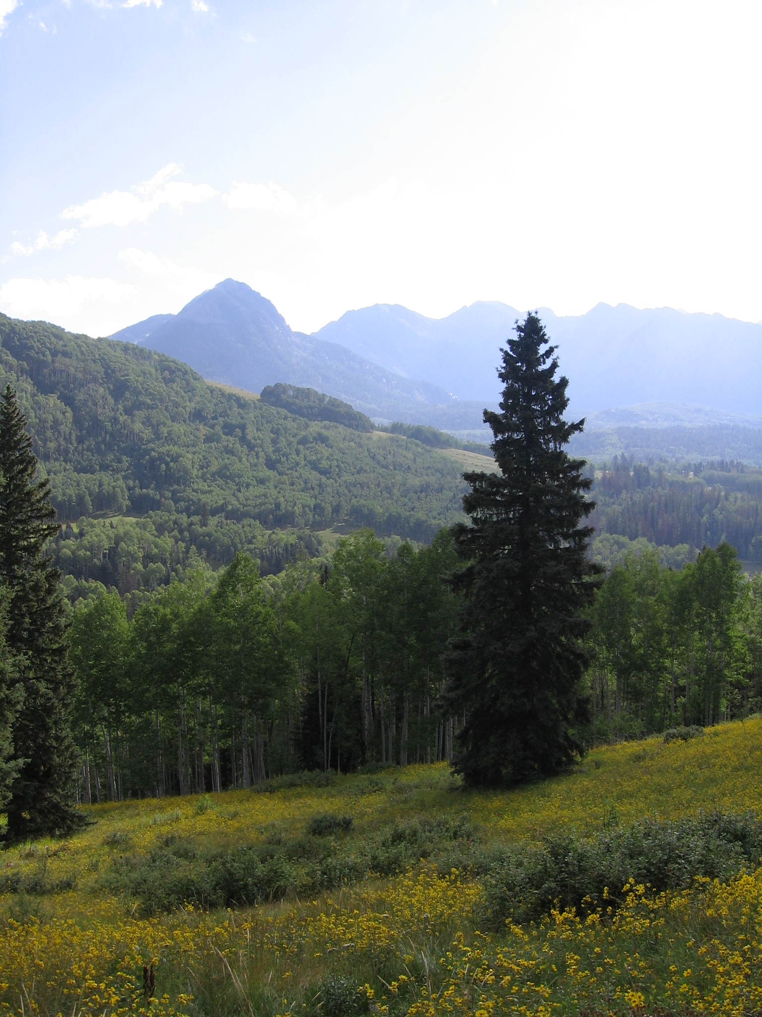 View of Needles | Pics4Learning