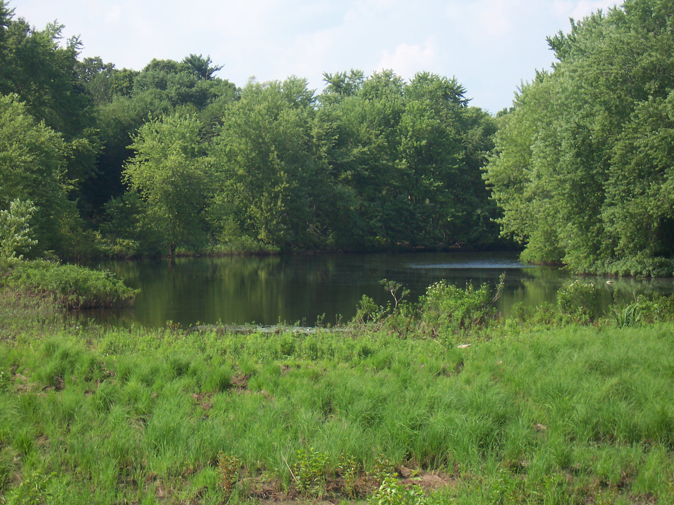 Pond | Pics4Learning