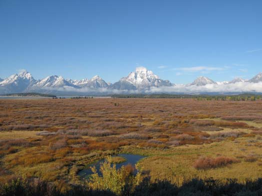 Willow Flats-Grand Tetons | Pics4Learning