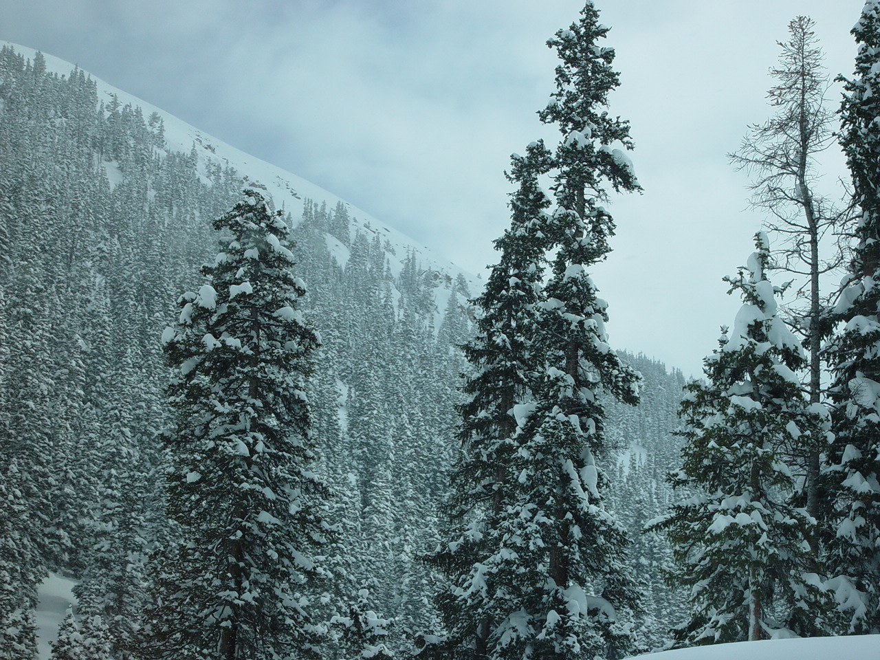 Blue Lining | Pics4Learning