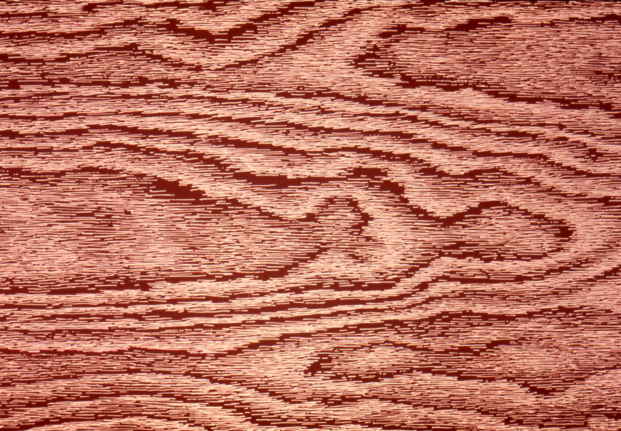 Wood Grain Pics4Learning Wood Grain Pics4Learning
