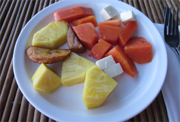 Free Photos for Education | Pics4Learning