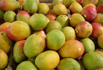 Free Photos for Education | Pics4Learning