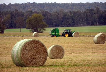 Free Photos for Education | Pics4Learning