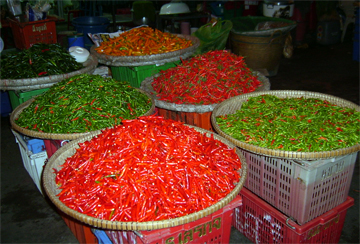 Free Photos for Education | Pics4Learning